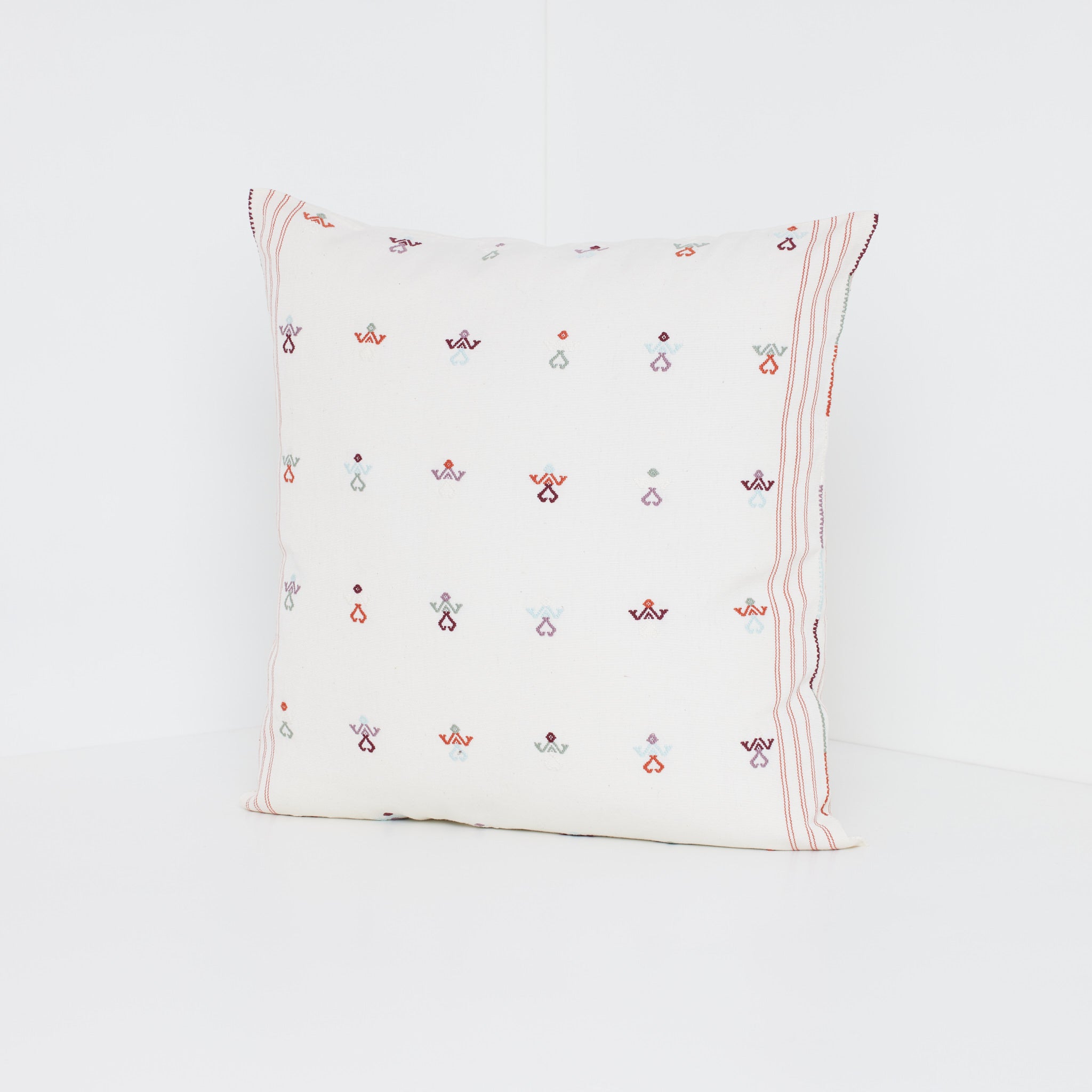 COJIN CHANGOS AGUA – colorindiomx